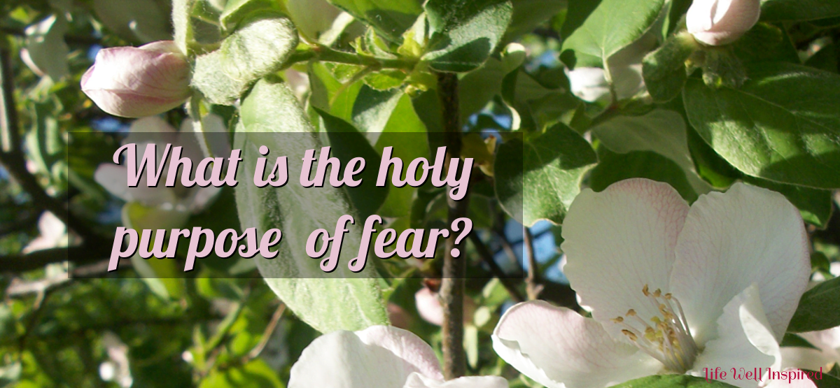The Holy Purpose of Fear - Life Well Inspired